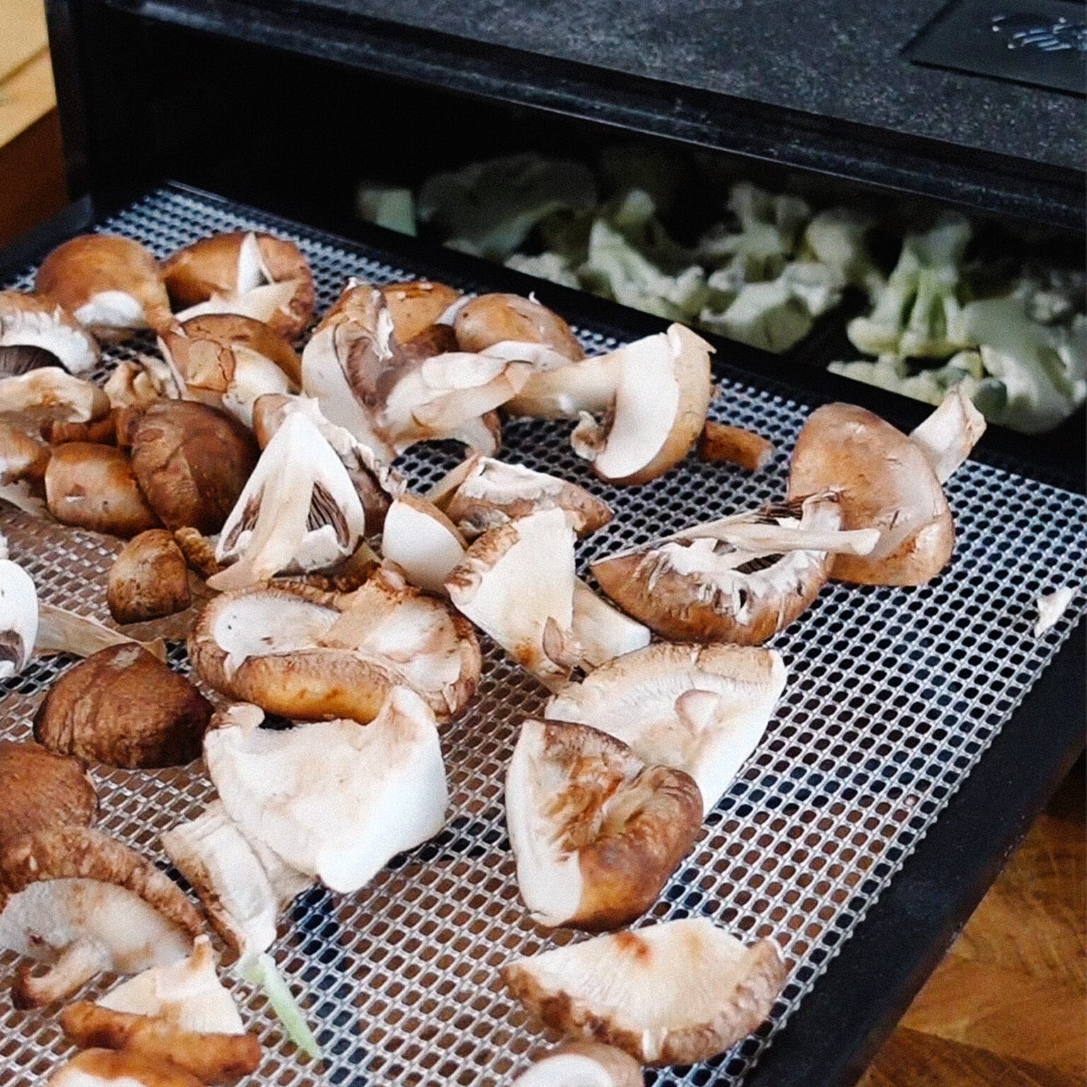 Veganes Hack aus 3 Zutaten selber machen - guerillachefs.de